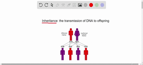 SOLVED:A process by which an organism produces offspring is called ...