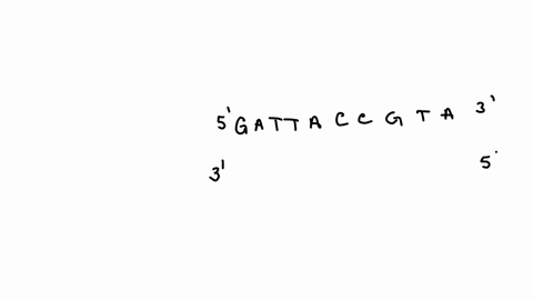 SOLVED:What RNA base sequence is complementary to the following DNA ...