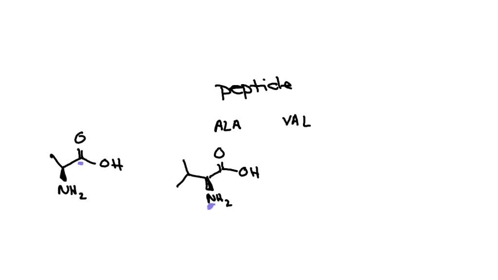 SOLVED:Show how a peptide bond is formed between alanine and valine.