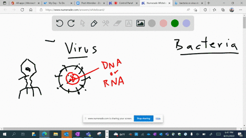 SOLVED:What are the components of a complex bacterial virus? Name some ...