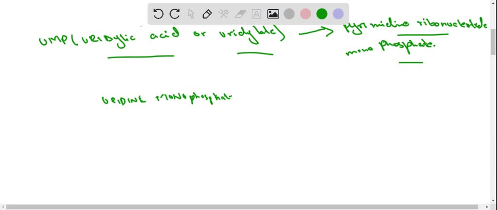 ⏩SOLVED:Draw the structure of UMP. | Numerade
