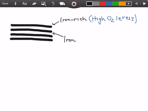 SOLVED:The emergence of photosynthetic organisms is recorded in layers ...