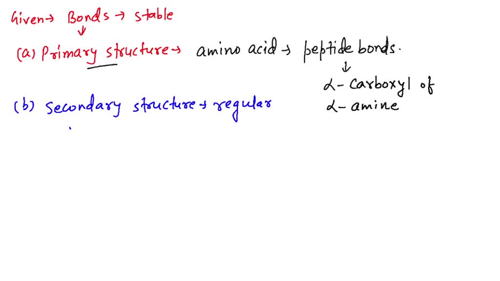 What factors determine each level of protein structure-primary ...