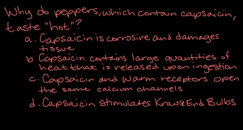 SOLVED:Why do peppers, which contain capsaicin, taste "hot?" a ...