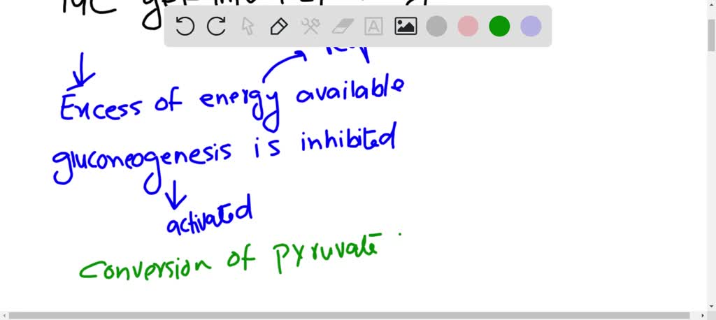 In the first bypass step of gluconeogenesis, the conversion of pyruvate ...
