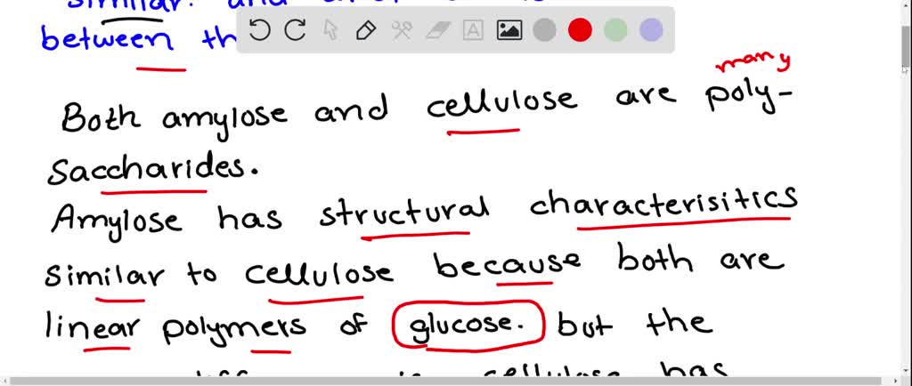 SOLVED: What is the difference between the structure of cellulose and the structure of amylose ...