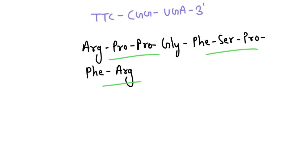 Uridine monophosphate (UMP) is one of the four nucleotides that compose ...