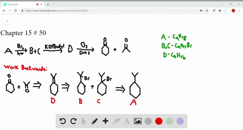 Radical Reactions | Organic Chemistry | Numerade