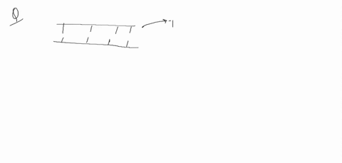 A short, single-stranded sequence of DNA whose bases are...