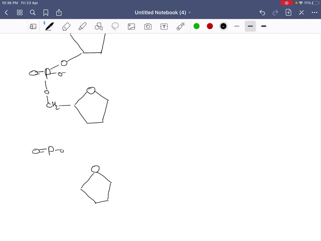 SOLVED:Single-letter codes are often used to stand for the base in a ...