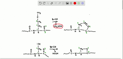 SOLVED:A decapeptide undergoes partial hydrolysis to give peptides ...