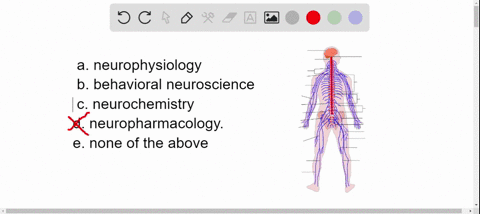 SOLVED:The field that focuses on the study of the structure of the ...
