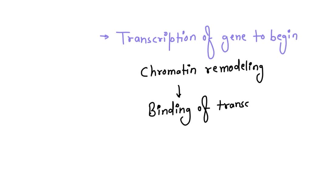 ⏩SOLVED:DNA is highly condensed in the chromosomes. What is the… | Numerade