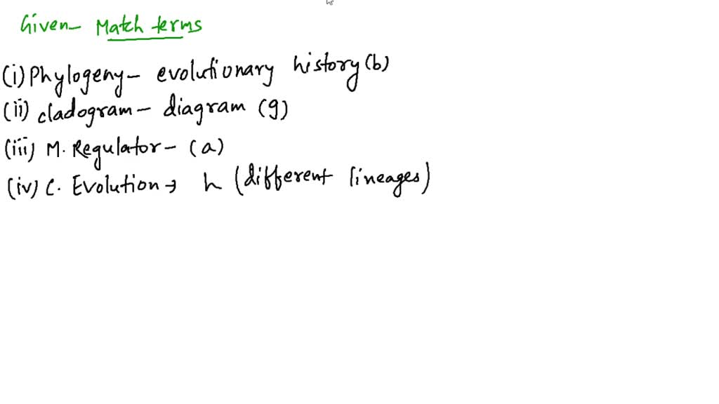 SOLVED:Match the terms with the most suitable description. _________ phylogeny ...