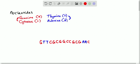 SOLVED:Below is the sequence of a single strand of a short DNA molecule ...