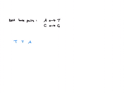 5 shown below is a diagram of a base pair between two bases...