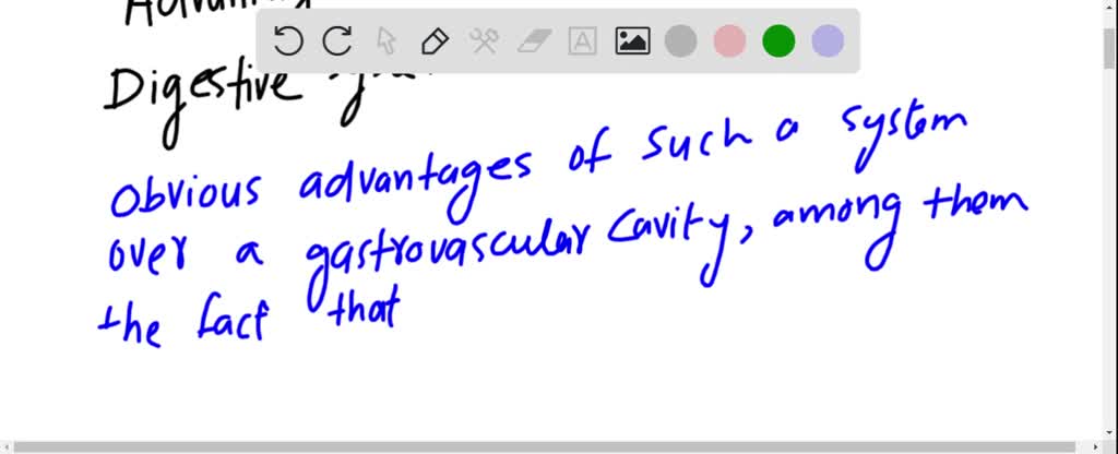 SOLVED:What is the advantage of a tubelike digestive system over a ...