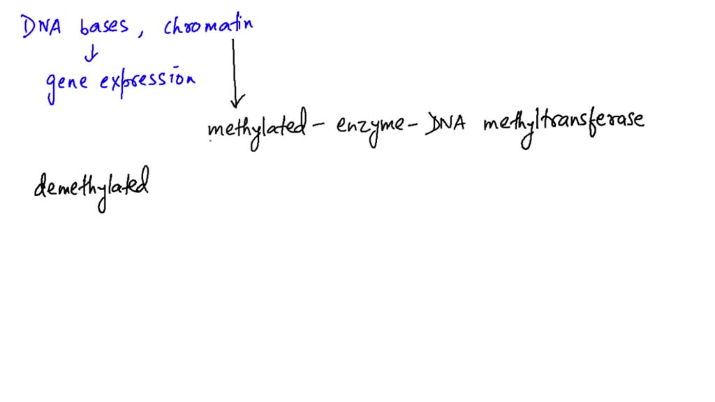 SOLVED:A mutation inhibits the expression of gene, how might determine ...