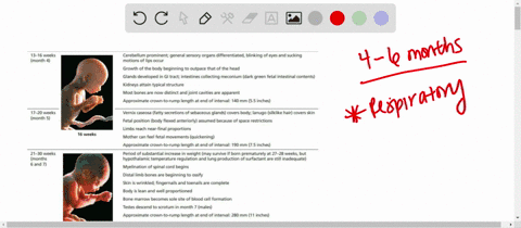 SOLVED:What does the Apgar scoring system assess? Select all that apply ...