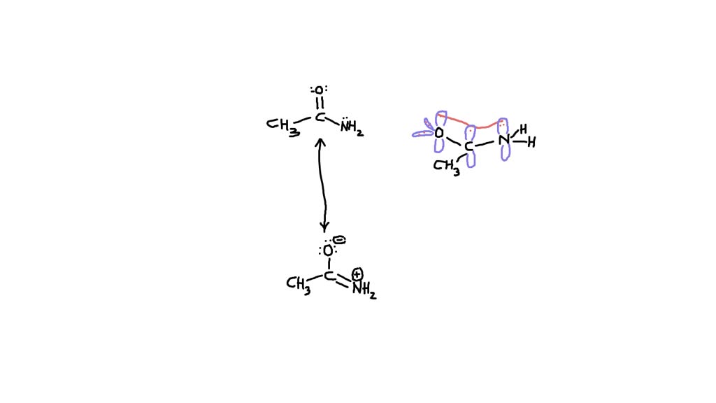 SOLVED: The N atom in CH3 CONH2 (acetamide) is s p^2 hybridized, even ...