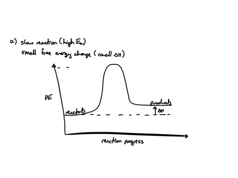 SOLVED: Draw energy diagrams for exergonic reactions that meet the ...