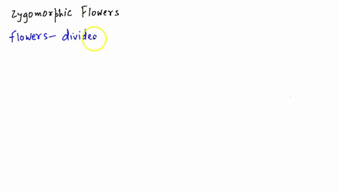 SOLVED:Zygomorphic flower is found in (a) Aloe (b) Potato (c) Sesbania ...