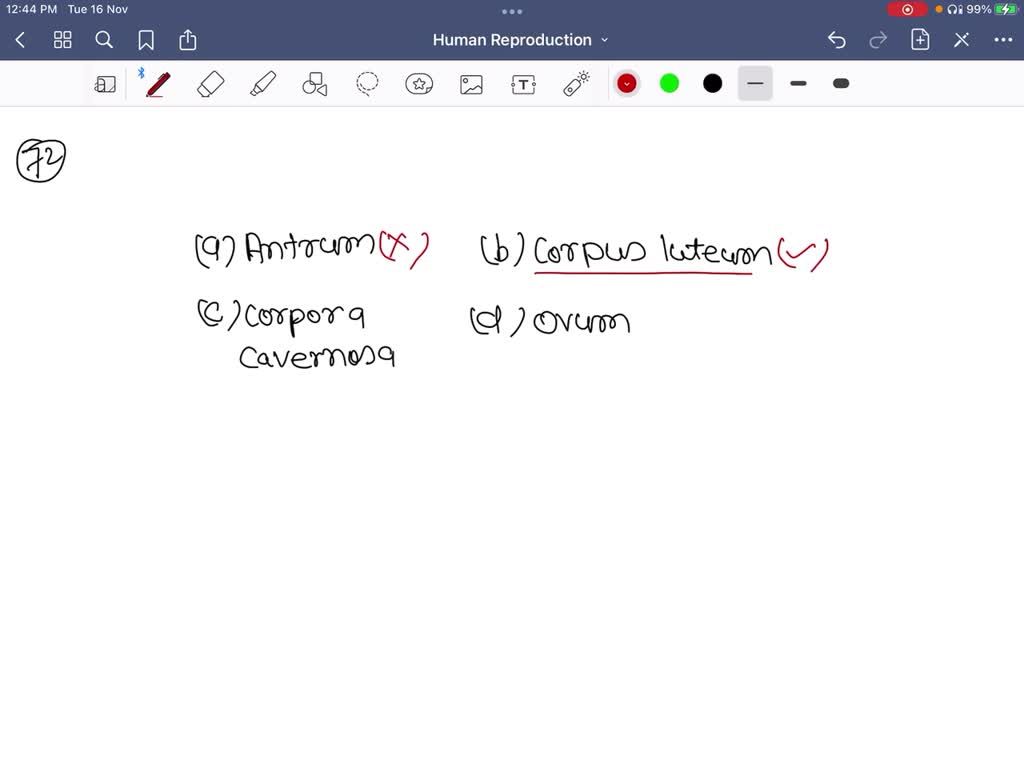 SOLVED What Does f Represent In The Figure a Antrum b Corpus