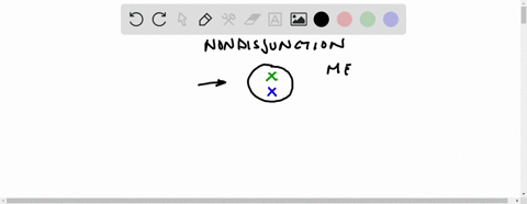 Nondisjunction Animation
