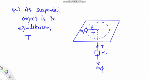 A puck of mass m1 is tied to a string and allowed to revolve in a circle of radius R on a ...