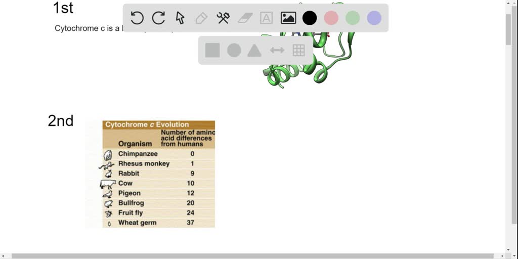 SOLVED:Short Answer Describe how cytochrome c provides evidence of ...