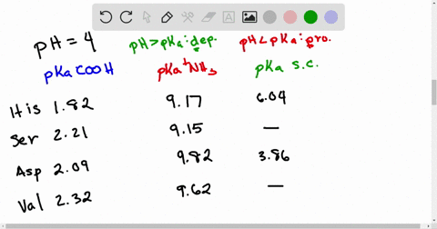 SOLVED:Explain the order of elution (with a buffer of pH 4) of the following pairs of amino ...