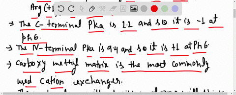 SOLVED:(a) In what order would the amino acids Arg, His, and Leu be ...