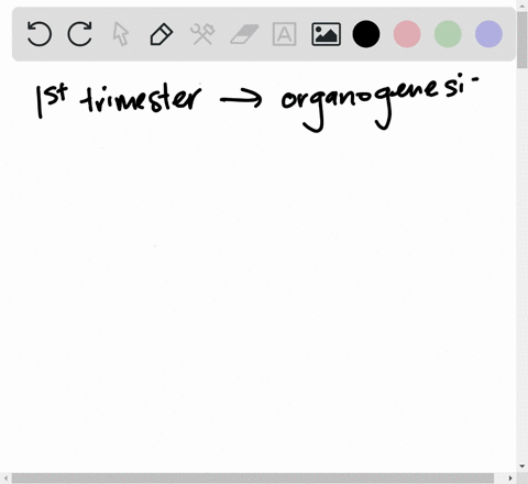 SOLVED:During human gestation, rudiments of all organs develop a. in ...