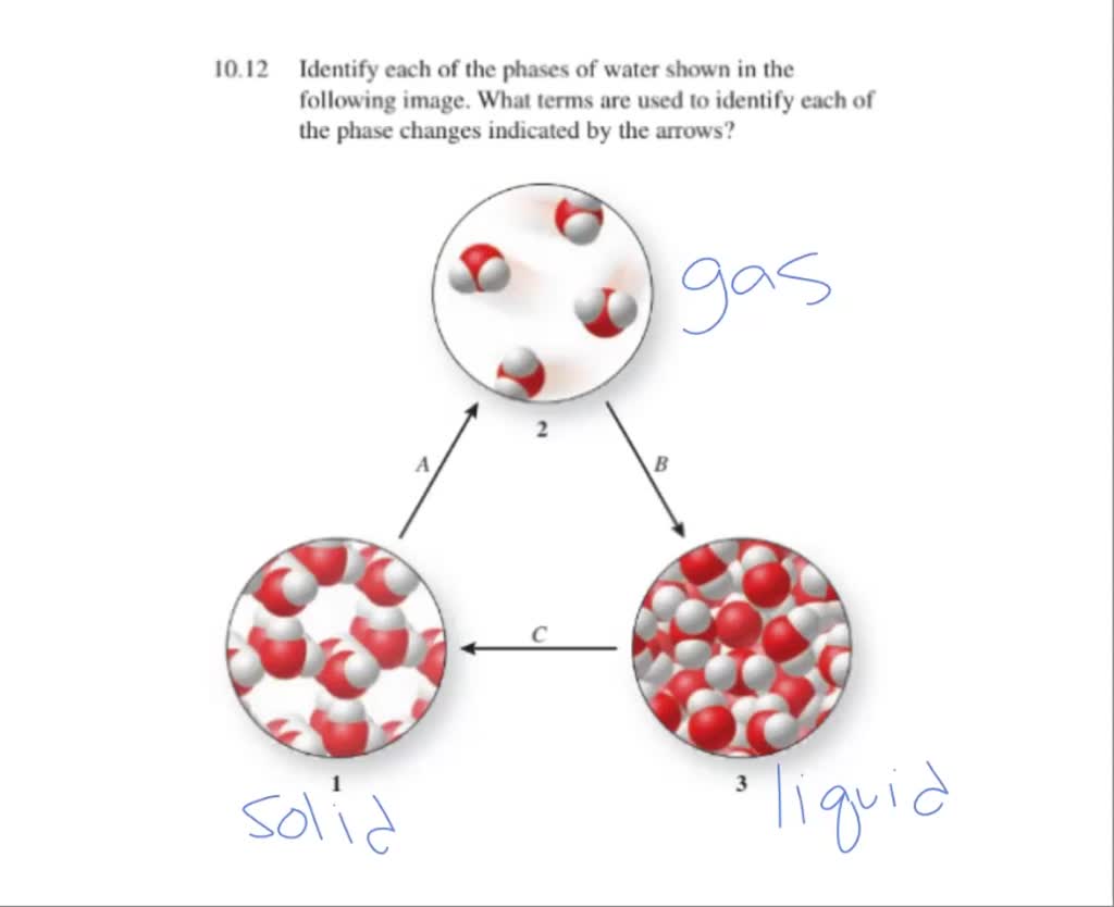 ⏩SOLVED:Identify each of the phases of water shown in the following ... ⏩SOLVED:Identify each of the phases of water shown in the following ...