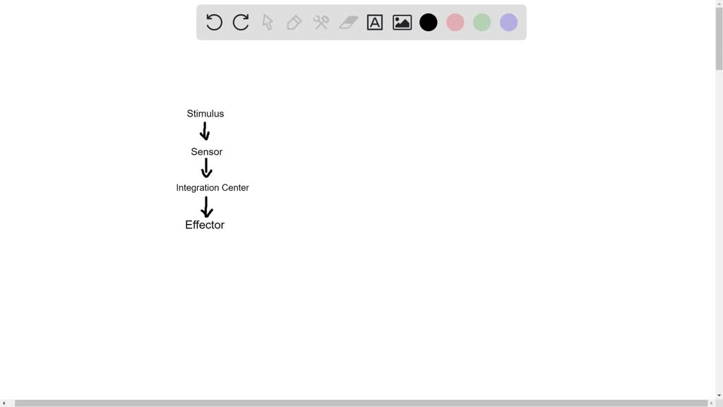 SOLVED: alguien que me explique los mecanismos de retroalimentacion ...