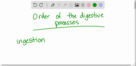 SOLVED:absorption bile chyme digestion elimination gastric juices ...