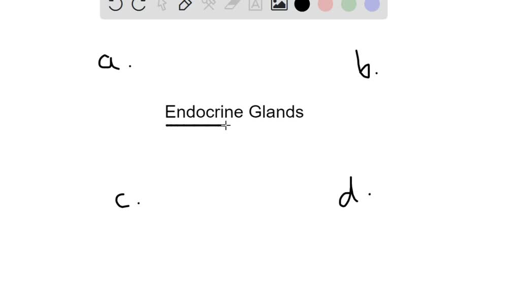Endocrine glands a. secrete hormones that travel through a duct to the ...