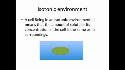 SOLVED:If a cell is in an isotonic environment, then a. the cell will ...