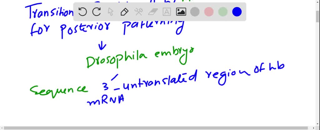 As we have learned in this chapter, the Nanos protein inhibits the ...