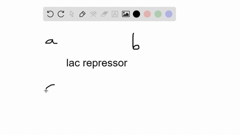 SOLVED:Predict what would happen if the lac repressor were altered so ...
