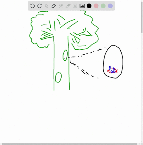 SOLVED:Two species of birds feed on similar types of insects and nest ...