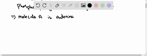 SOLVED:Determine whether or not each structure is a nucleotide. For each nucleotide, identify ...
