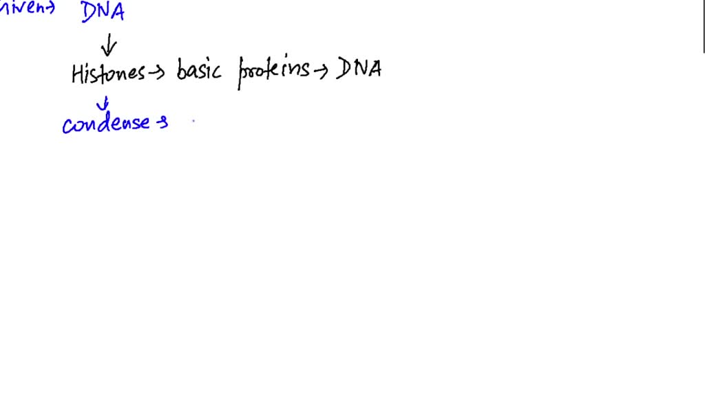 SOLVED:What groups are found on the exterior of the DNA double helix ...