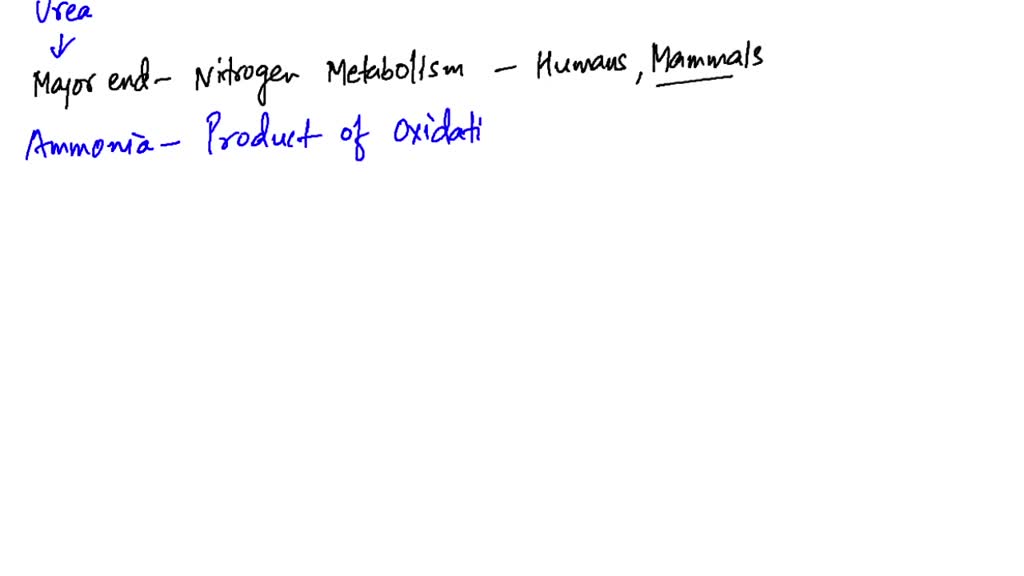 In what chemical form do ammonium ions enter the urea cycle? | Numerade