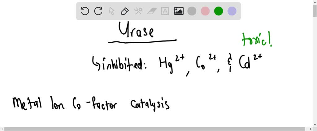 Urease can catalyze the hydrolysis of urea, but not the hydrolysis of ...