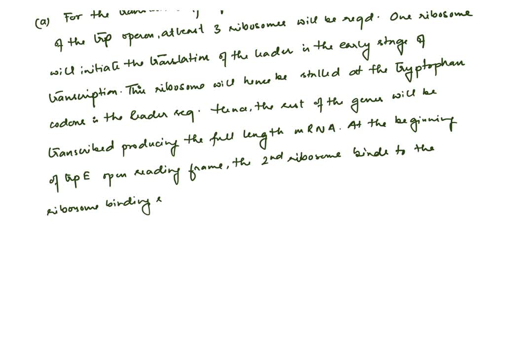 Describe a toeprint assay involving E. coli ribosomal subunits and a ...