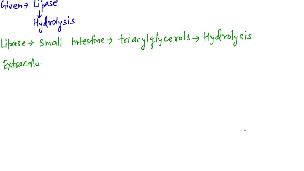 SOLVED:What is hydrolysis? Give three examples of hydrolysis.