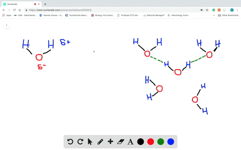 SOLVED:Level 2 : Application/Analysis DRAW IT Draw the hydration shells that form around a ...