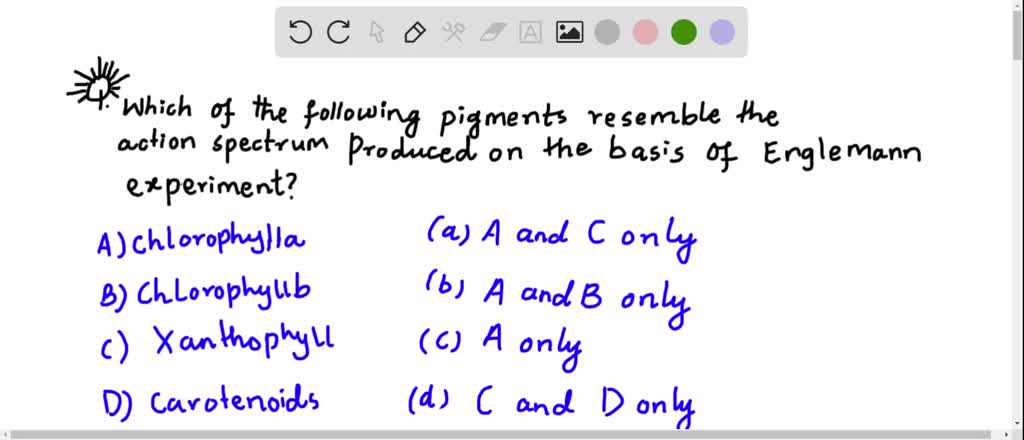 Which of the following pigments resemble the action spectrum produced ...