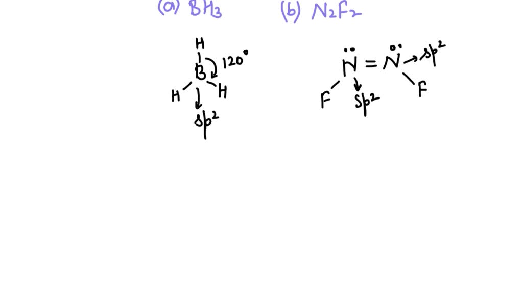 SOLVED:Complete the Lewis structures of the following molecules ...